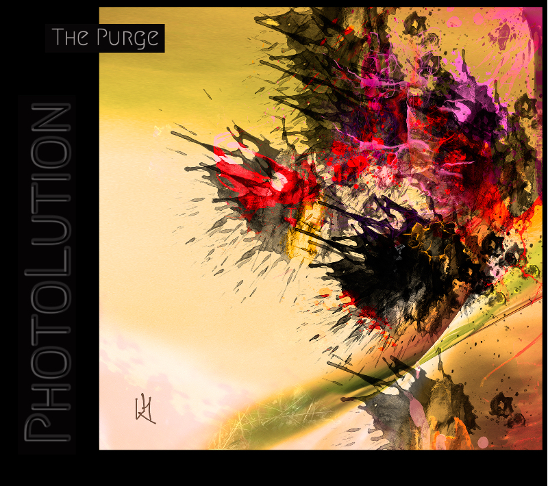 The purge – Pixel Design Miami